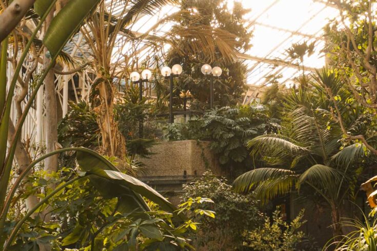Best Bars in Waterloo for Wine, Cocktails, & Rooftop Views — London x ...