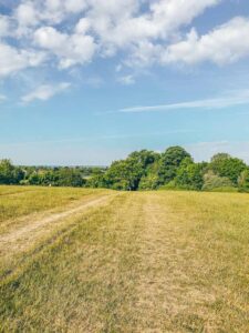 23 Beautiful Parks in South London You Should Explore — London x London