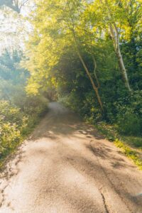 Time to Explore: One Tree Hill, London — London x London