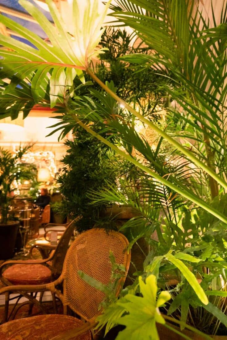 Rules Cocktail Bar Review: Covent Garden's Fabulous Hidden Gem