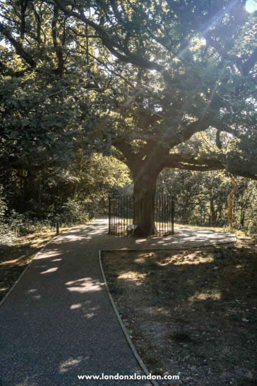 One Tree Hill: The London Park With Stellar Views (And a Weird History)