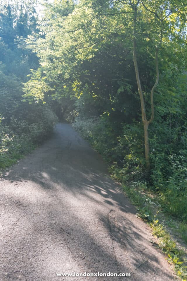 One Tree Hill: The London Park With Stellar Views (And a Weird History)