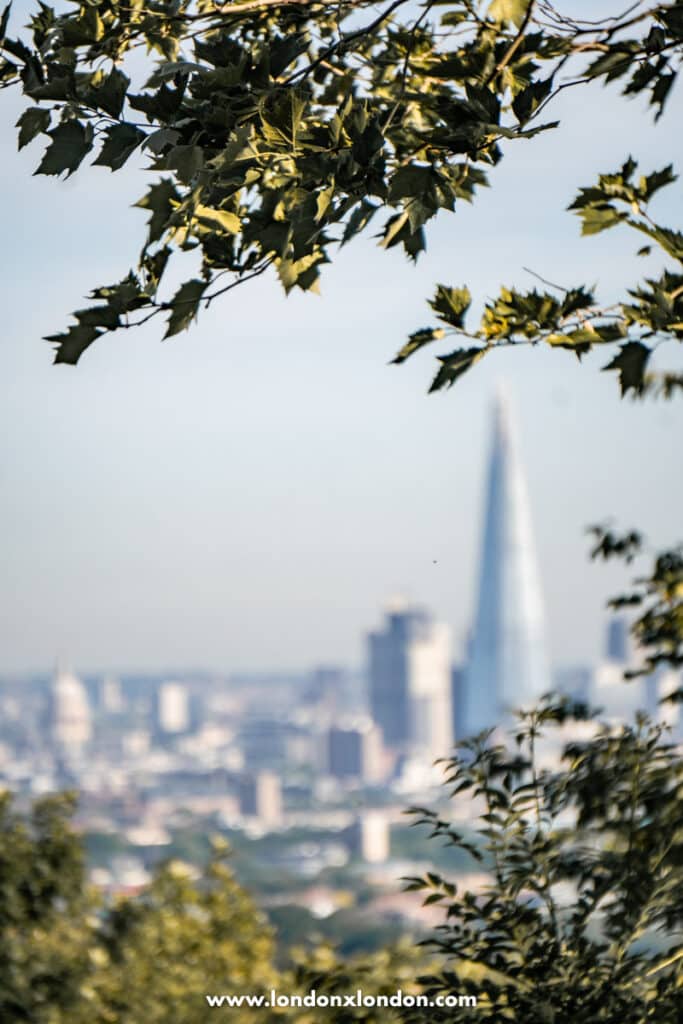 One Tree Hill: The London Park With Stellar Views (And a Weird History)