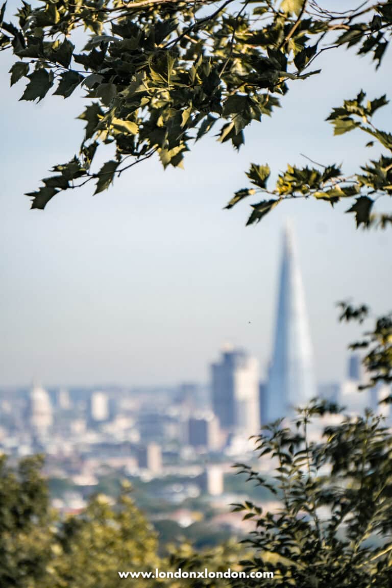 One Tree Hill: The London Park With Stellar Views (And a Weird History)