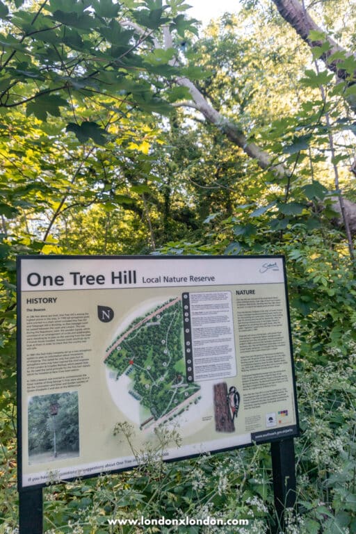 One Tree Hill: The London Park With Stellar Views (And a Weird History)
