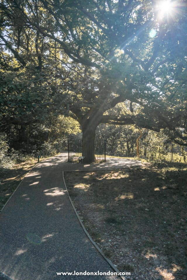 One Tree Hill: The London Park With Stellar Views (And a Weird History)