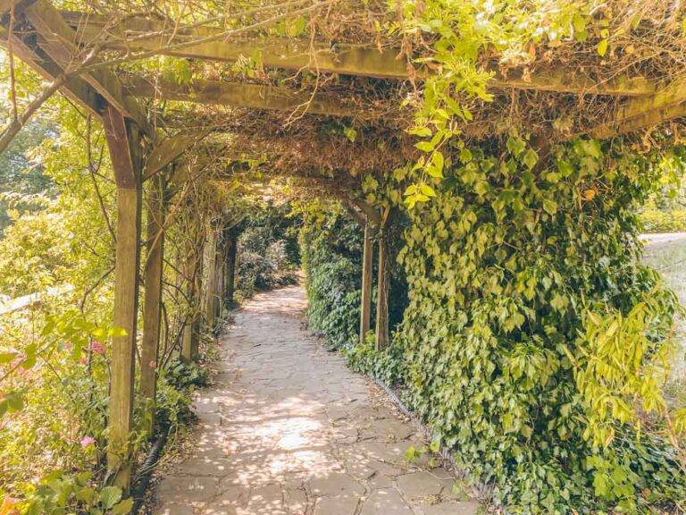 Best Things to do in Streatham: Area Guide — London x London