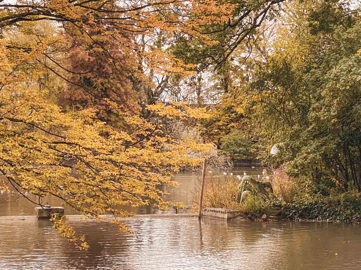 19 Beautiful Lakes in London — London x London