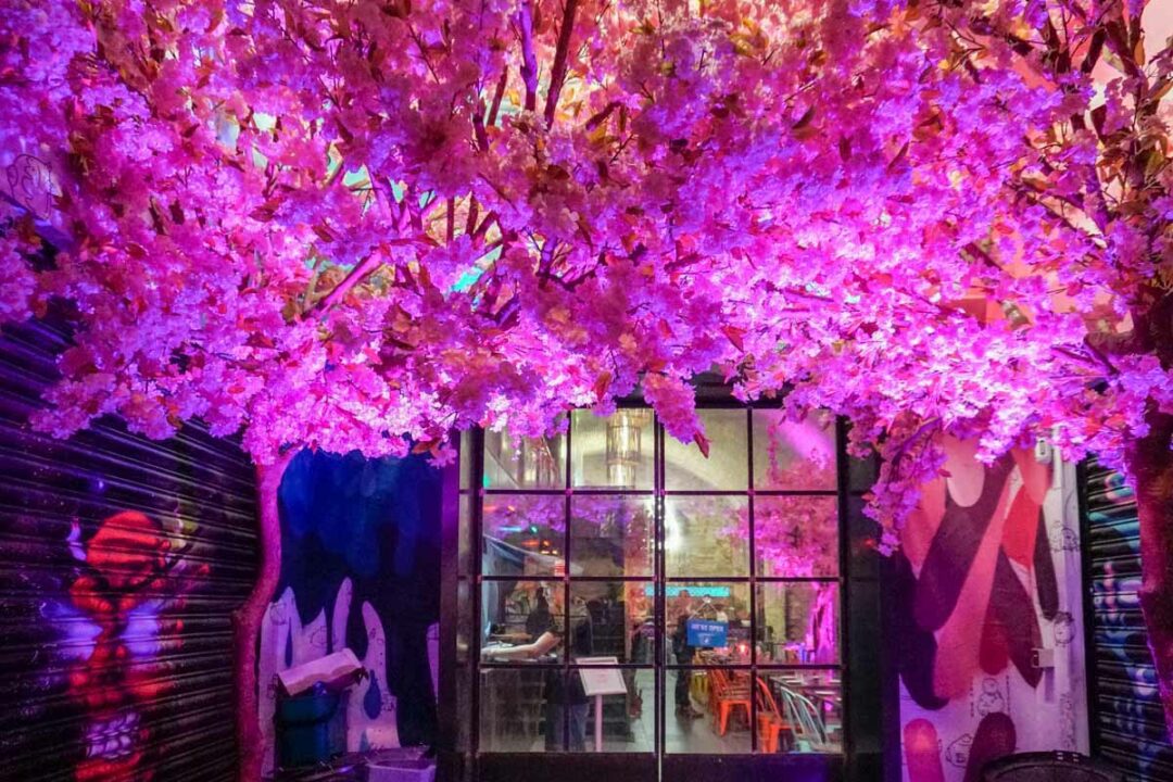 The Best Restaurants in Waterloo — London x London