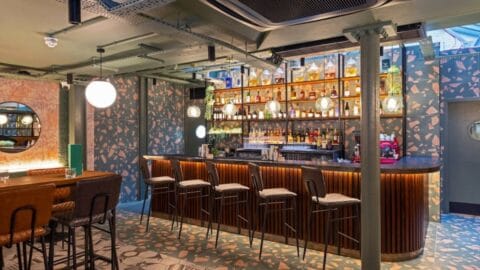 The 11 Best Bars in Peckham — London x London