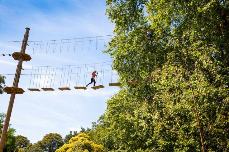 The Best Things to do in Muswell Hill: Woodlands, Palaces and Plenty ...