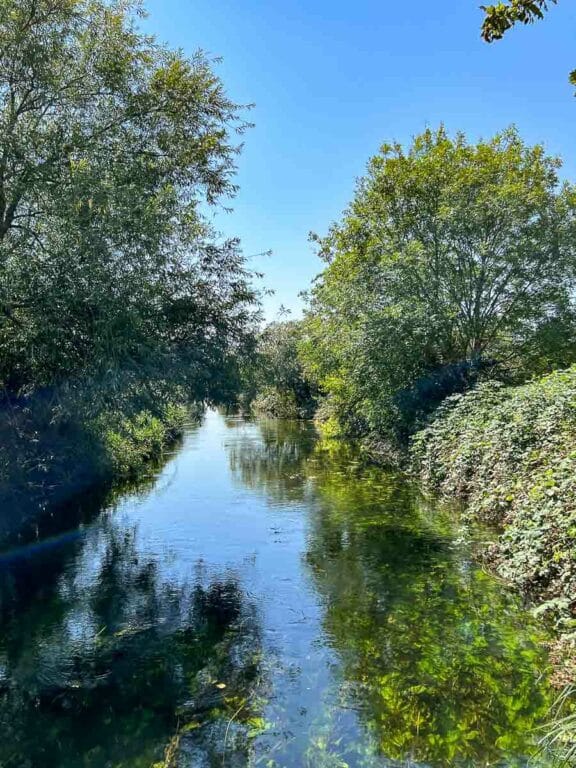 Time to Discover: The Walthamstow Wetlands — London x London