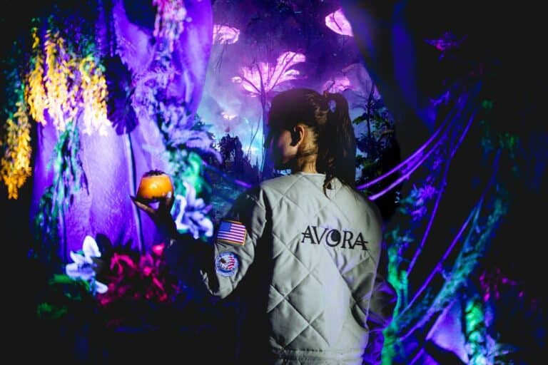 Avora: An Immersive Experience Where You Drink Cocktails to Save the ...