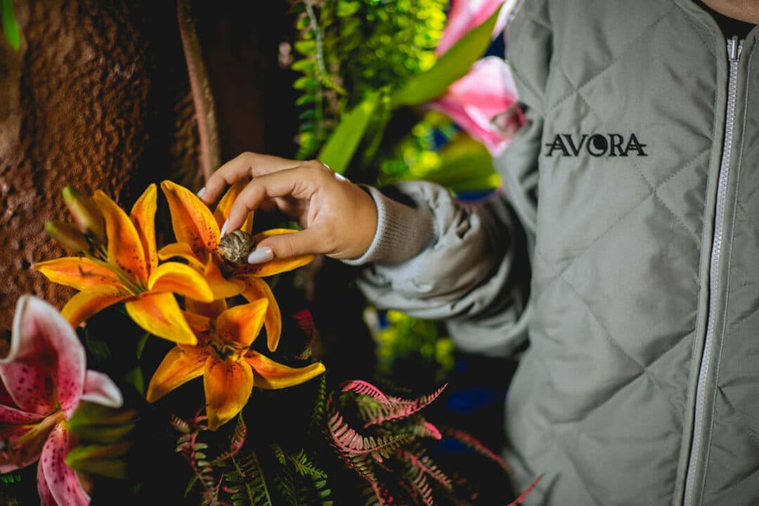 Avora: An Immersive Experience Where You Drink Cocktails to Save the ...