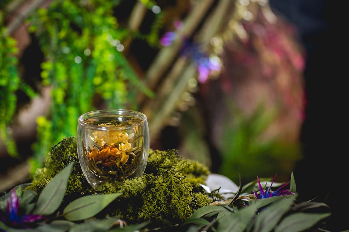 Avora : l'expérience immersive où l'on boit des cocktails pour sauver ...