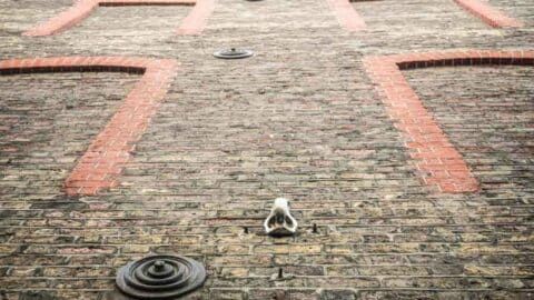 The Truth Behind The Seven Noses of Soho — London x London