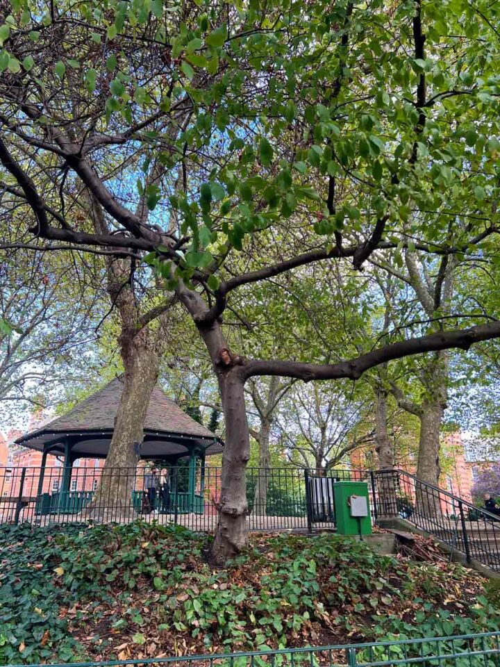 The Hidden Secrets of Arnold Circus — London x London