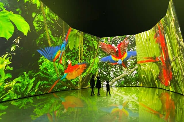 An Immersive David Attenborough Exhibition is Coming to London