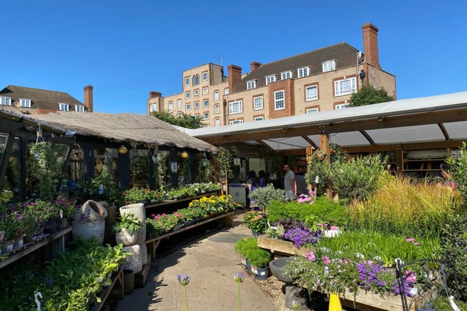 Kentish Town Area Guide — London x London