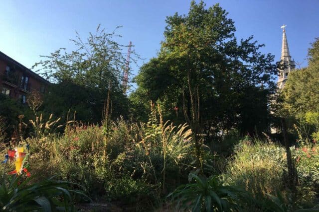 A Guide to The Phoenix Garden, London — London x London