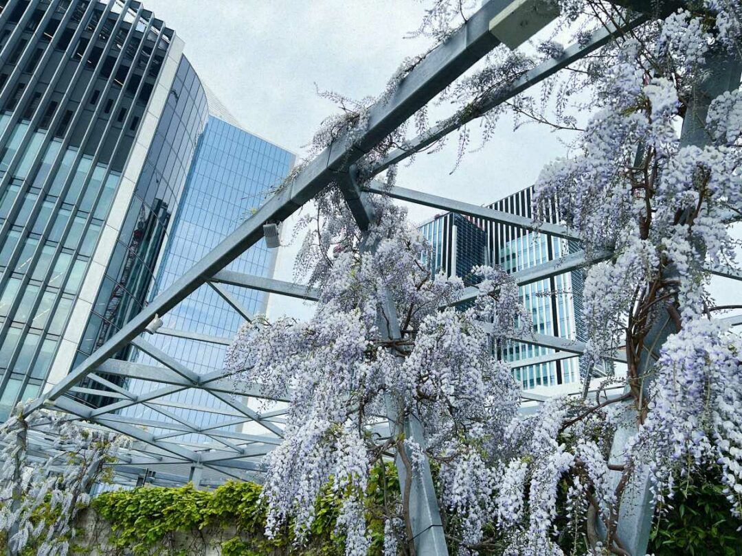 The Garden at 120: London’s Hidden Floral Rooftop — London x London