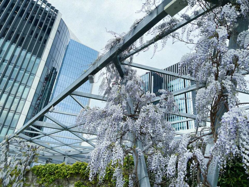 The Garden at 120: London’s Hidden Floral Rooftop — London x London