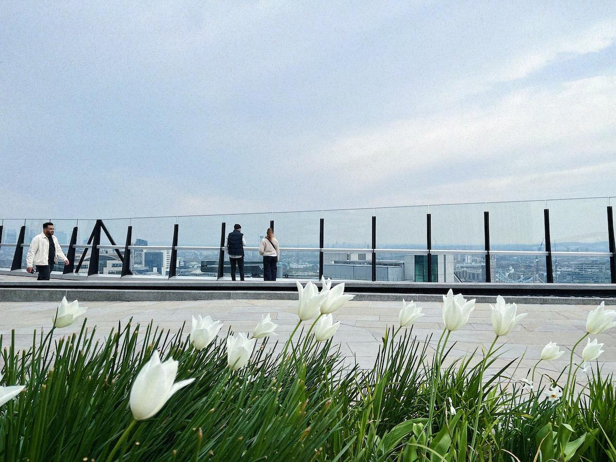 The Garden at 120: London’s Hidden Floral Rooftop — London x London