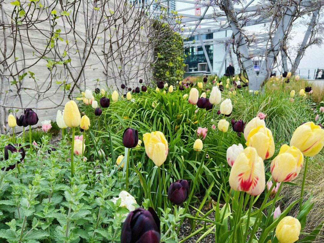 The Garden at 120: London’s Hidden Floral Rooftop — London x London