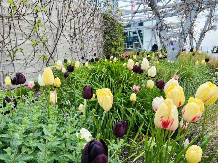 The Garden at 120: London’s Hidden Floral Rooftop — London x London